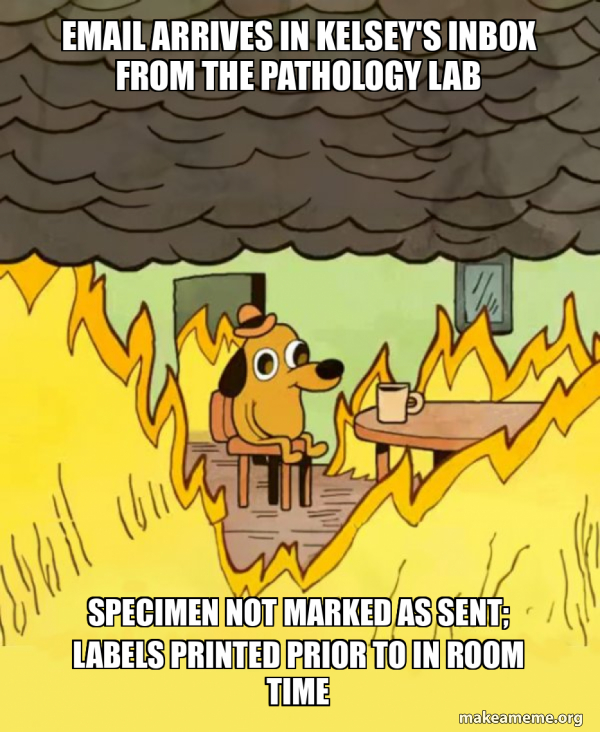 Email Arrives in Kelsey's Inbox from the Pathology Lab Specimen not ...
