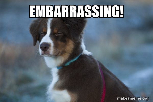 Embarrassing! - Unsure Dog Meme Generator