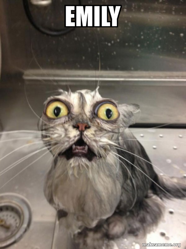 Emily - Cat bath Meme Generator