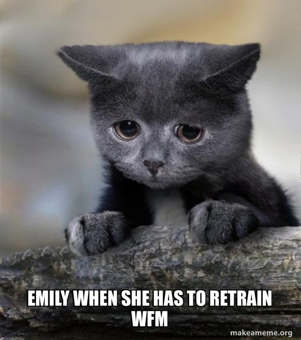 Emily when she has to retrain WFM - Confession Cat Meme Generator