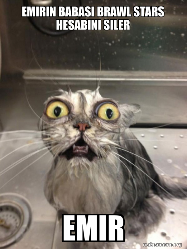 emirin babası brawl stars hesabını siler emir - Cat bath Meme Generator