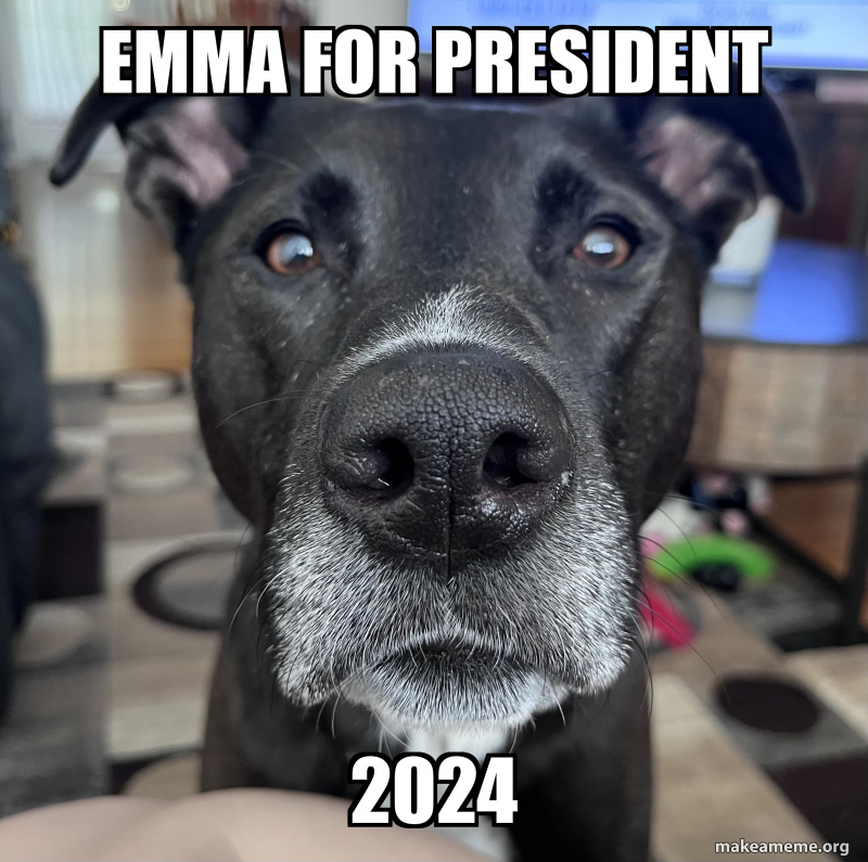 EMMA FOR PRESIDENT 2024 Meme Generator