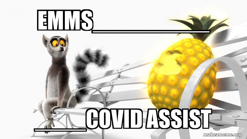 Emms_________ ____COVID assist Meme Generator
