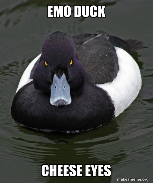 emo duck cheese eyes - Revenge Duck ( Angry Advice Duck ) Meme Generator