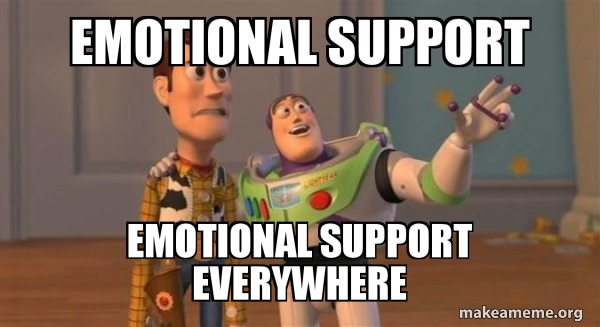 Emotional support Emotional support everywhere - Buzz and Woody (Toy ...