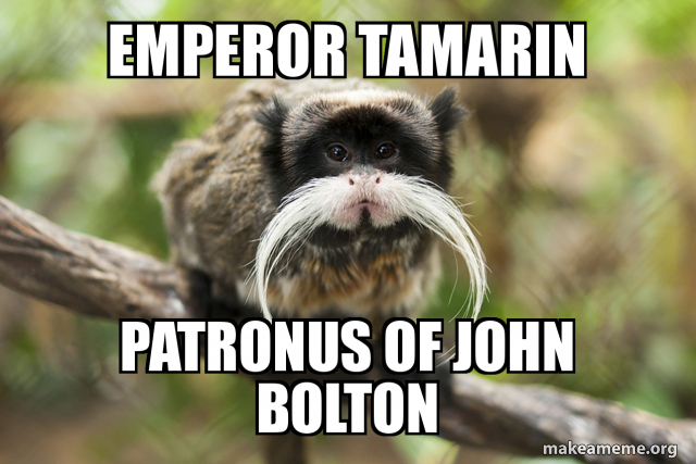 emperor tamarin patronus of john bolton Meme Generator