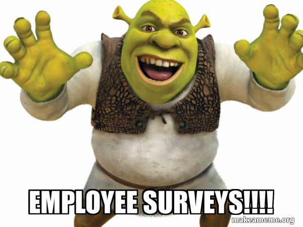 EMPLOYEE SURVEYS!!!! - Shrek Meme Generator