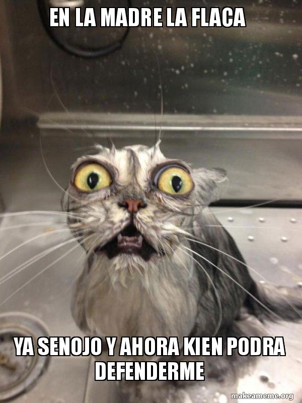 Flaca Fea Memes Imágenes Y Carteles De FLACA | Desmotivaciones