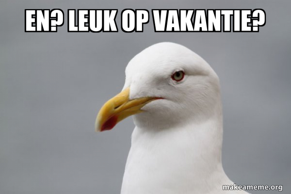En? Leuk op vakantie? - Stuff That Didn't Happen Seagull Meme Generator