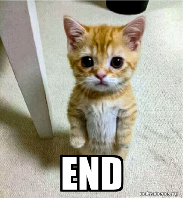 end - Cute Cat Standing Meme Generator