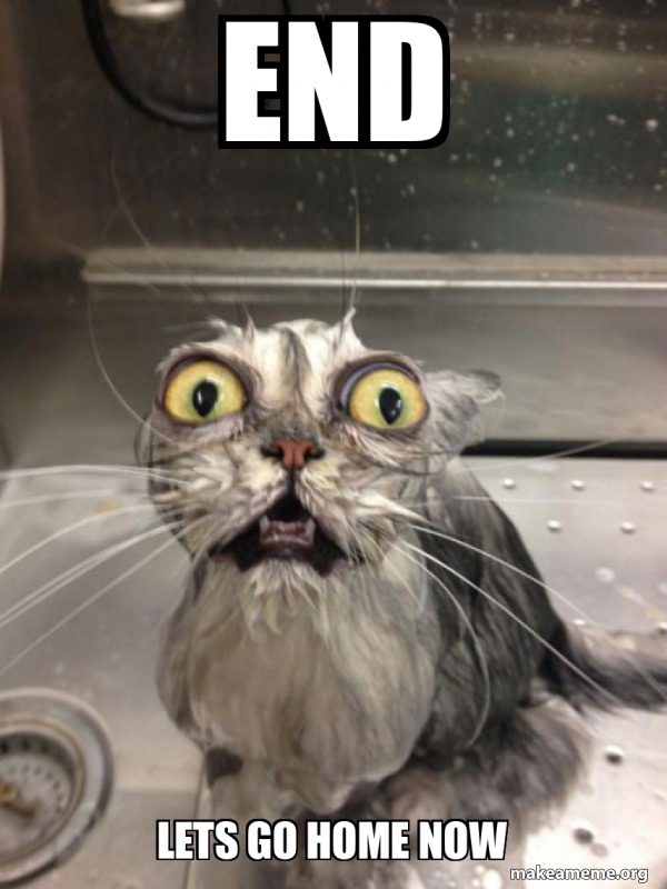 End Lets Go Home Now - Cat bath Meme Generator