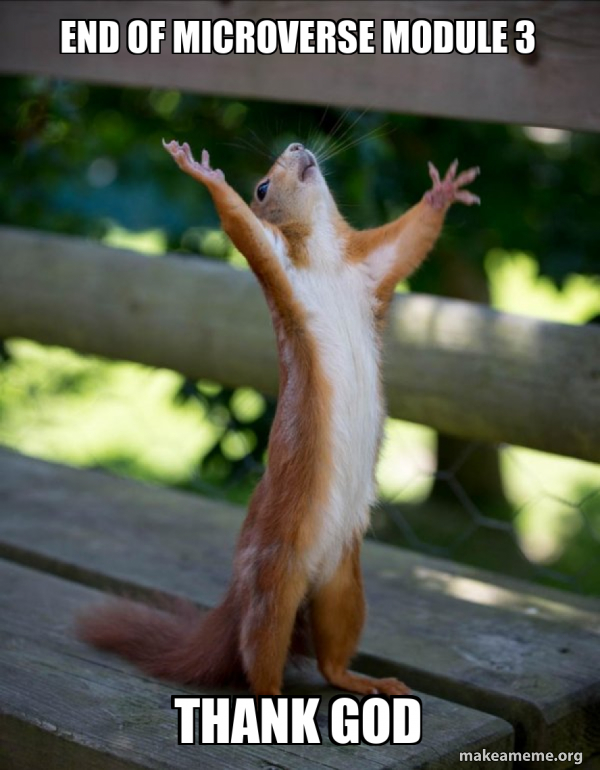 End of Microverse Module 3 Thank God - Happy Squirrel Meme Generator