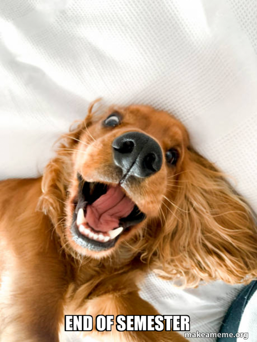 End of semester Meme Generator