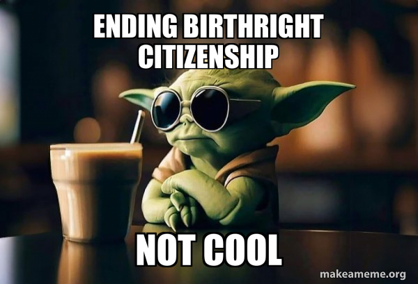 Ending birthright citizenship Not cool - Cool Yoda (Sunglasses) Meme ...