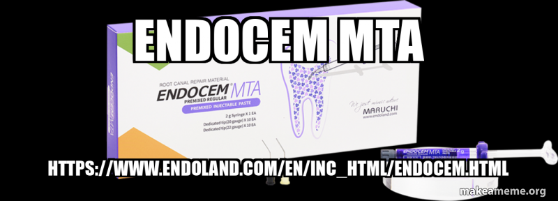 Endocem mta https://www.endoland.com/en/inc_html/endocem.html Meme ...