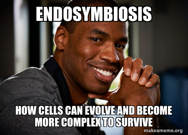 Endosymbiosis how cells can evolve and become more complex to survive ...