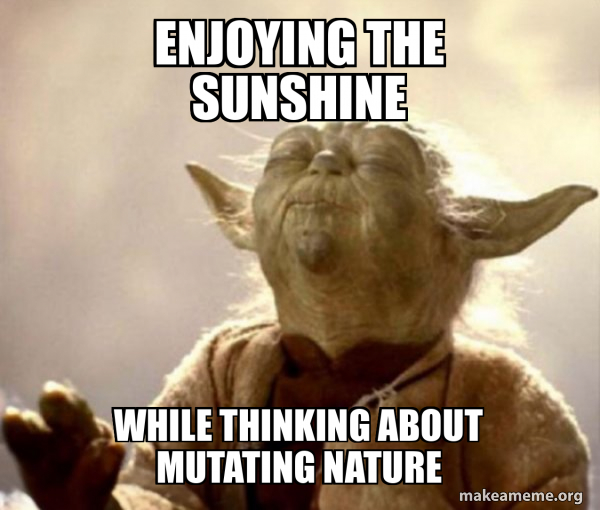 Enjoying the sunshine while thinking about mutating nature - Yoda Smell ...