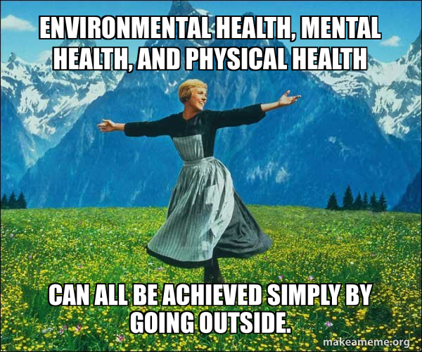 Environmental Health, Mental Health, and Physical Health Can all be ...