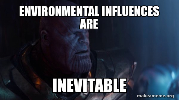 Environmental influences are inevitable - Thanos - Impossible Meme ...