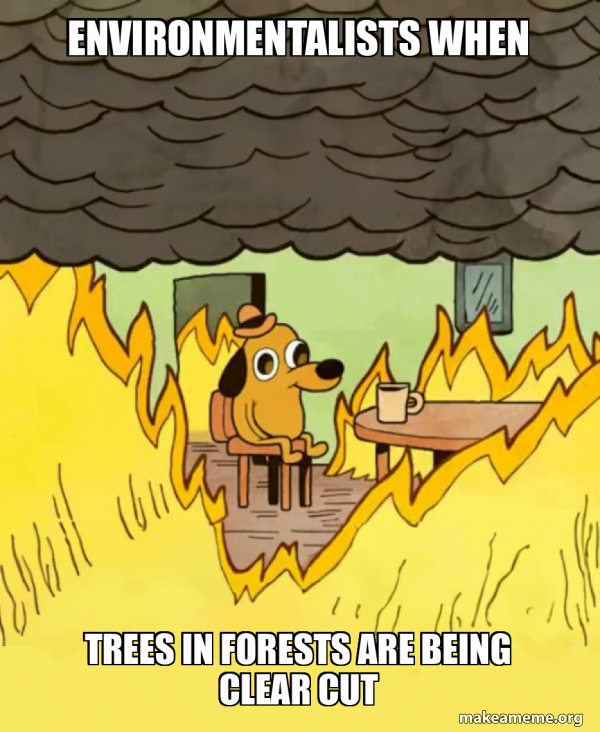 Environmentalists when Trees in forests are being clear cut - This Is ...