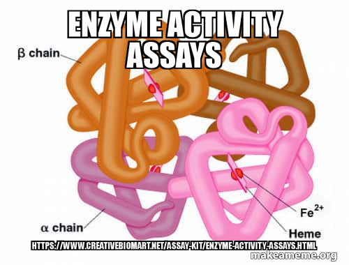 Enzyme Activity Assays https://www.creativebiomart.net/assay-kit/enzyme ...