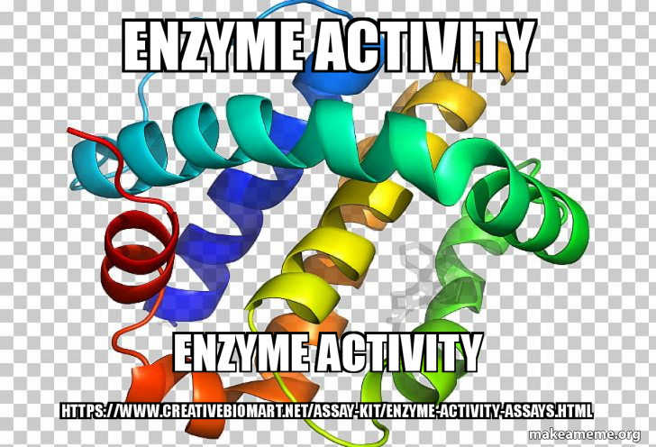 Enzyme Activity Enzyme Activity https://www.creativebiomart.net/assay ...