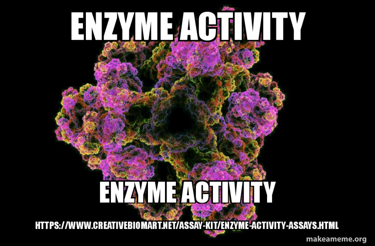 Enzyme Activity Enzyme Activity https://www.creativebiomart.net/assay ...