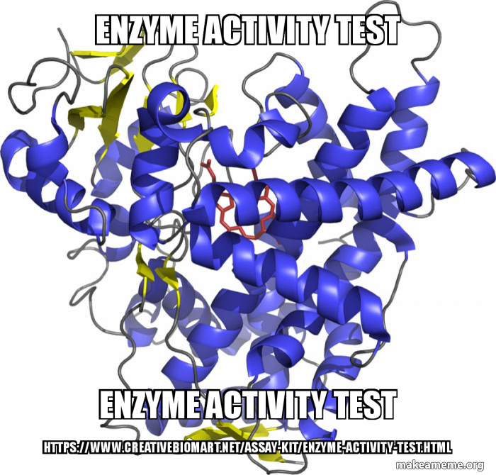 Enzyme Activity Test Enzyme Activity Test https://www.creativebiomart ...