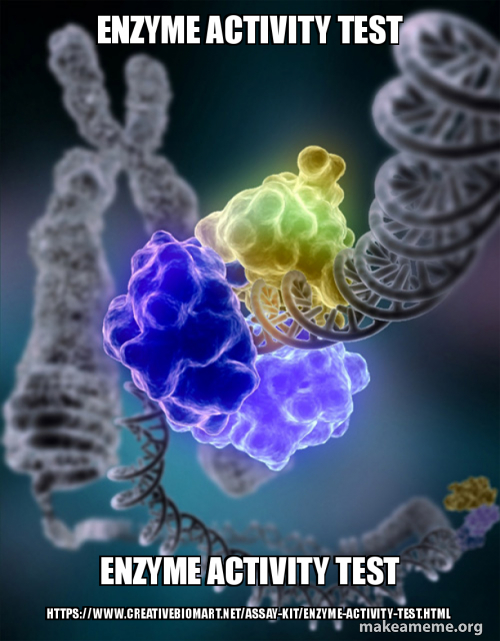Enzyme Activity Test Enzyme Activity Test https://www.creativebiomart ...