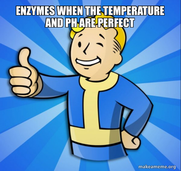 enzymes when the Temperature and PH are perfect - Vault Boy Fallout 4 ...
