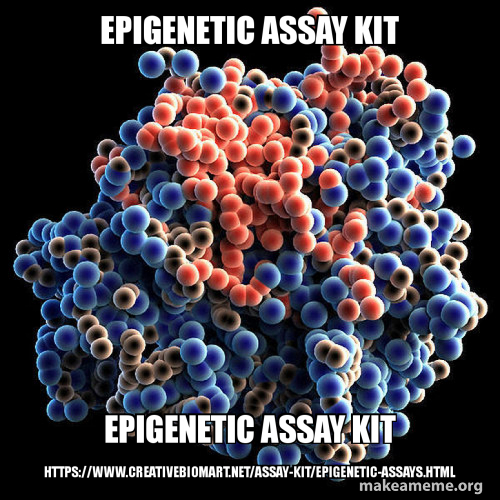 Epigenetic Assay kit Epigenetic Assay kit https://www.creativebiomart ...