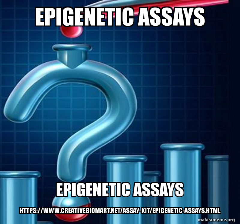 Epigenetic Assays Epigenetic Assays https://www.creativebiomart.net ...