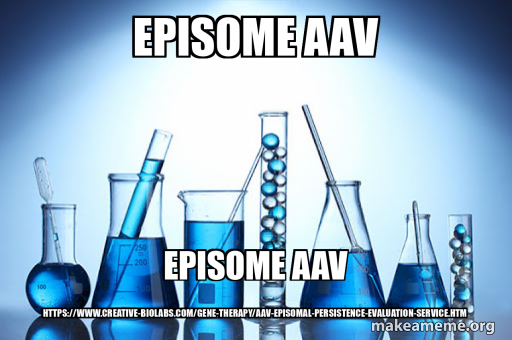 episome AAV episome AAV https://www.creative-biolabs.com/gene-therapy ...