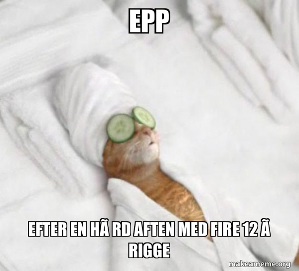 Epp Efter en hård aften med fire 12 årigge - Pampered Cat Meme Meme ...