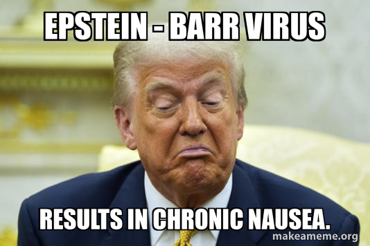 epstein - barr virus Results in chronic nausea. Meme Generator