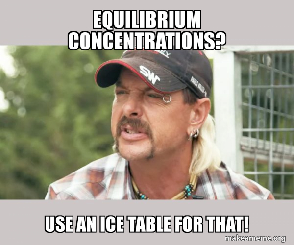 Equilibrium concentrations? Use an ICE table for that! - Joe Exotic - Tiger King Meme Generator