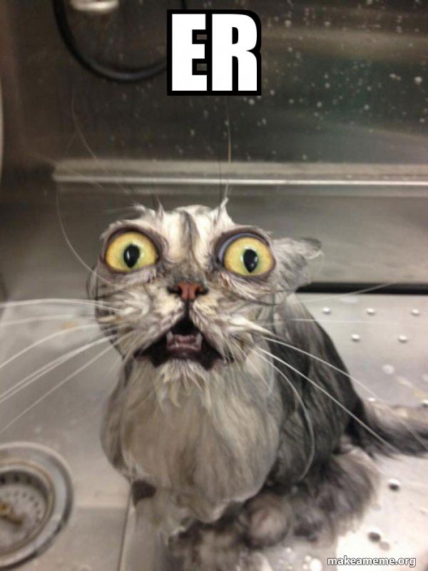 ER - Cat bath Meme Generator
