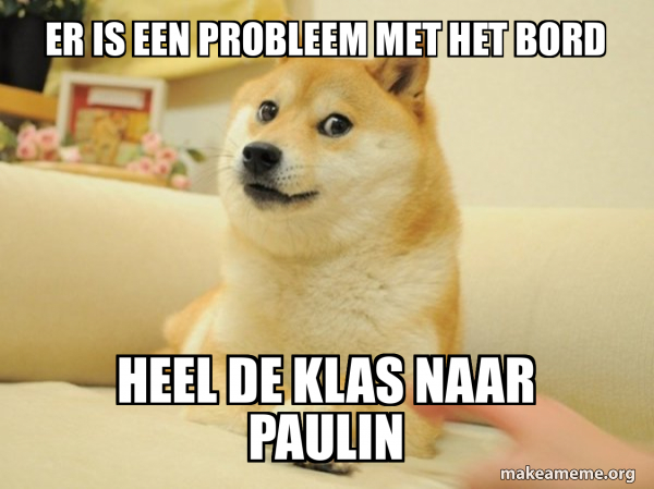 Er is een probleem met het bord Heel de klas naar Paulin - Doge Meme ...