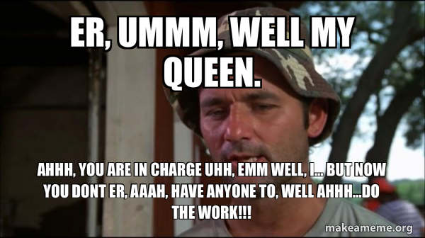 Er, Ummm, well my queen. ahhh, You are in charge uhh, emm well, I ...