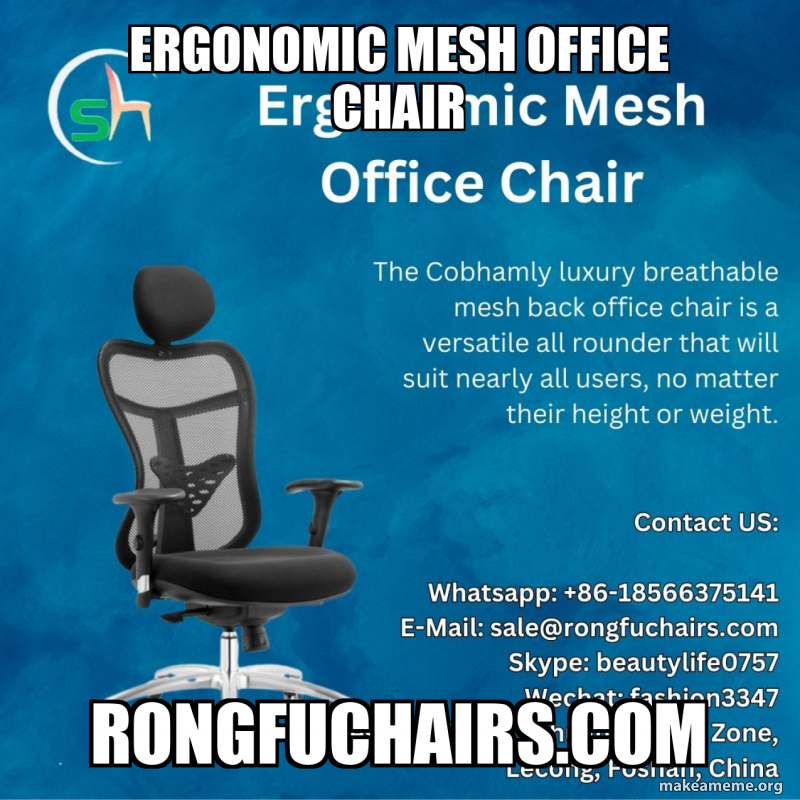 Ergonomic Mesh Office Chair rongfuchairs.com Meme Generator