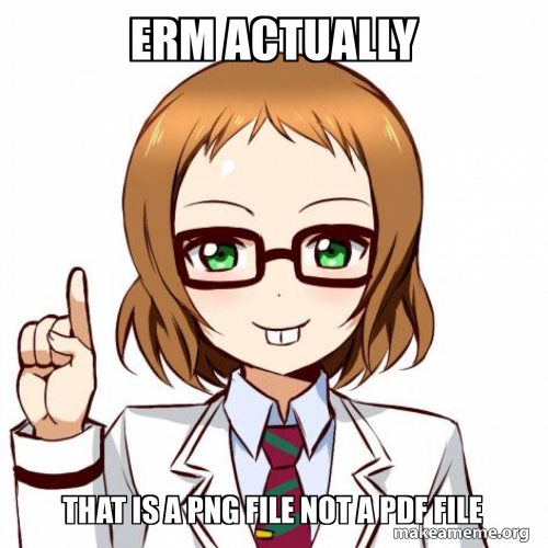 Erm actually that is a PNG file Not a PDF file Meme Generator