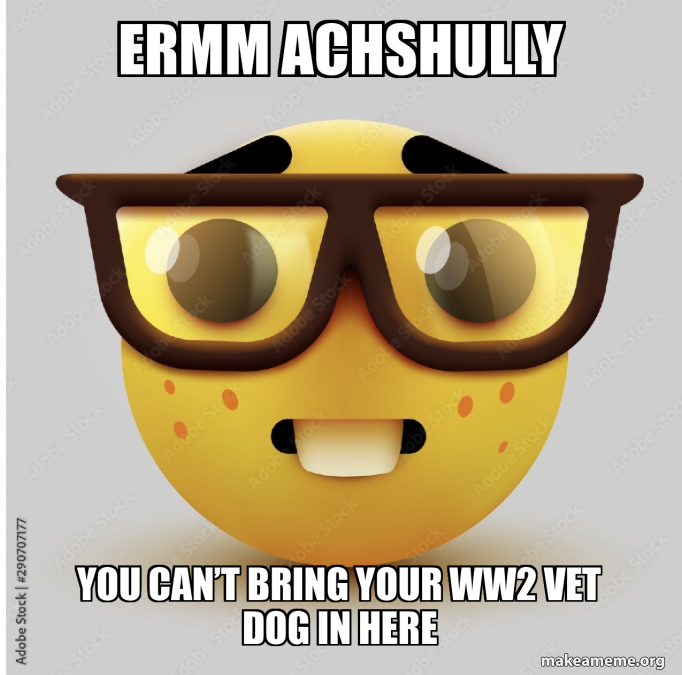 Ermm achshully you can’t bring your ww2 vet dog in here Meme Generator