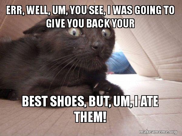 Err, well, um, you see, I was going to give you back your Best shoes ...