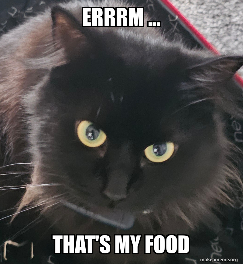 Errrm ... That's my food Meme Generator