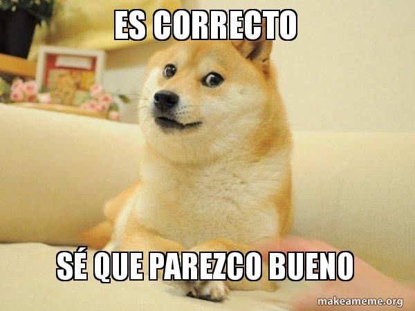 Es Correcto SÃ© Que Parezco Bueno - Doge Meme Generator