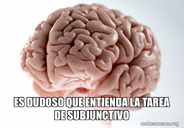 es dudoso que entienda la tarea de subjunctivo - Scumbag Brain Meme ...