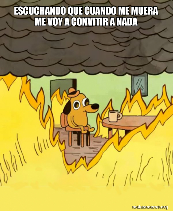Escuchando que cuando me muera me voy a convitir a NADA - This Is Fine ...