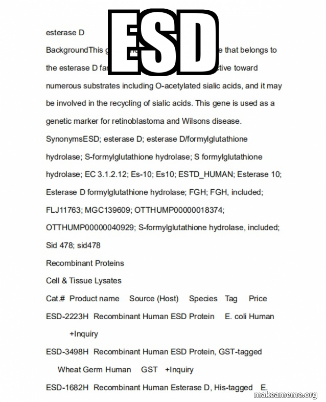 ESD Meme Generator