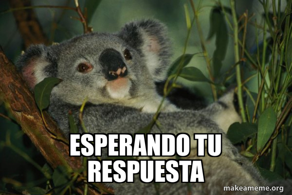 Memes Yo Esperando Tu Respuesta Todos Esperando Ver Esta Nueva