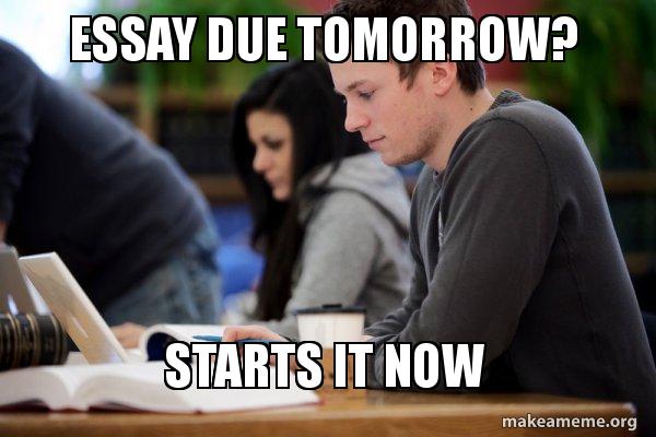 Essay due tomorrow? Starts it now - Conscientious College Senior Meme ...